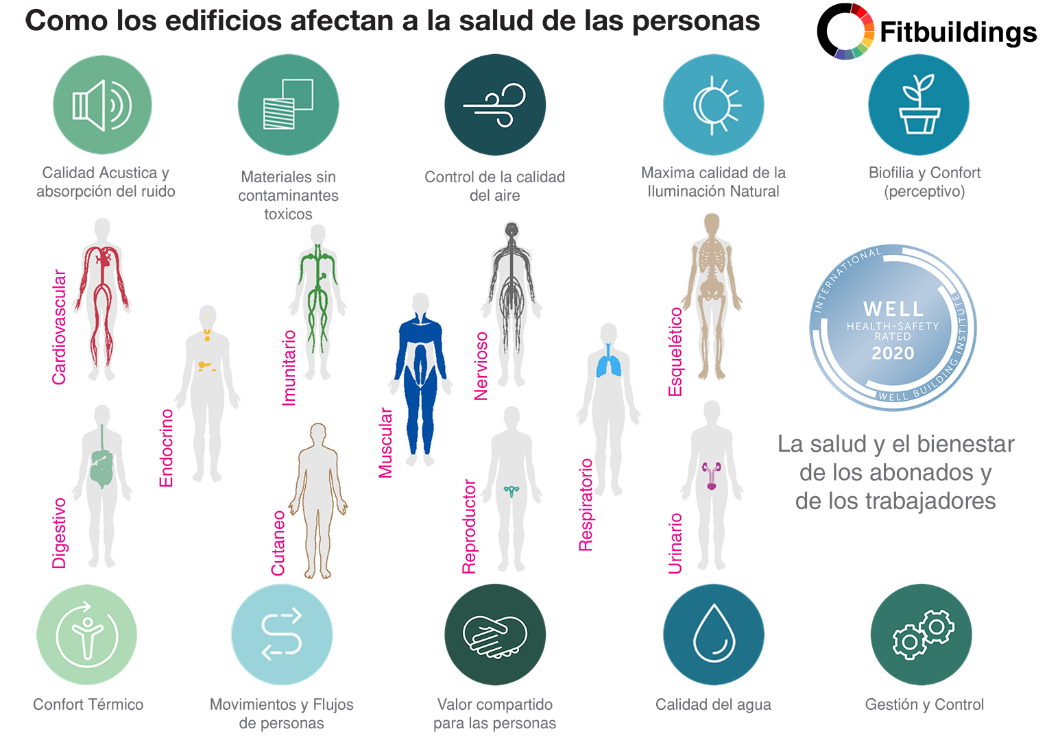 Fitbuildings - PichArchitects